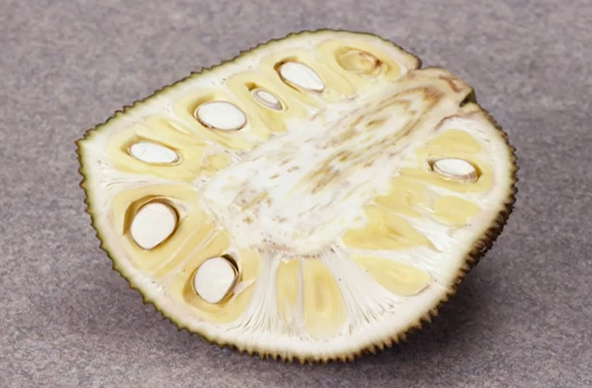 What is Jackfruit? - Nutricia Metabolics North America – Products & Support